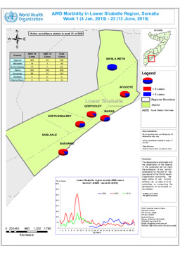 WHO – World Health Organization (Author): “AWD Morbidity in Lower ...