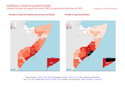 ACCORD – Austrian Centre for Country of Origin and Asylum Research and Documentation (Author ...