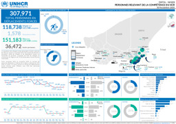 UNHCR – UN High Commissioner for Refugees (Author): “Diffa - Niger ...