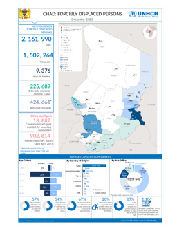 UNHCR – UN High Commissioner for Refugees (Author): “Chad: Forcibly ...