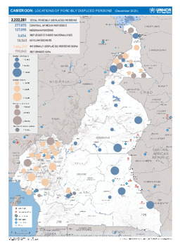 UNHCR – UN High Commissioner for Refugees (Author): “Cameroon ...